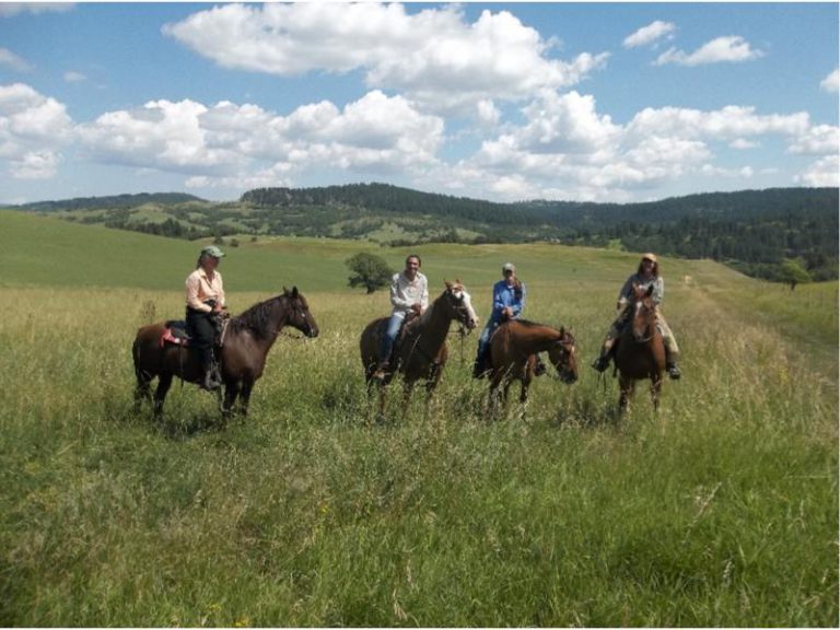 Wyoming Dude Ranch Vacation Destinations | DudeRanch.com