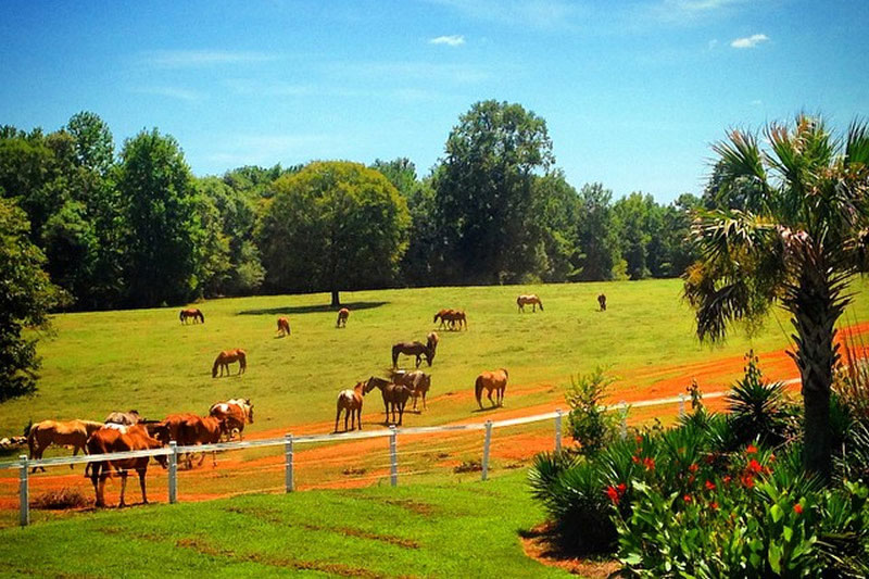 Southern Cross Guest Ranch | Info, Pics, Maps + More