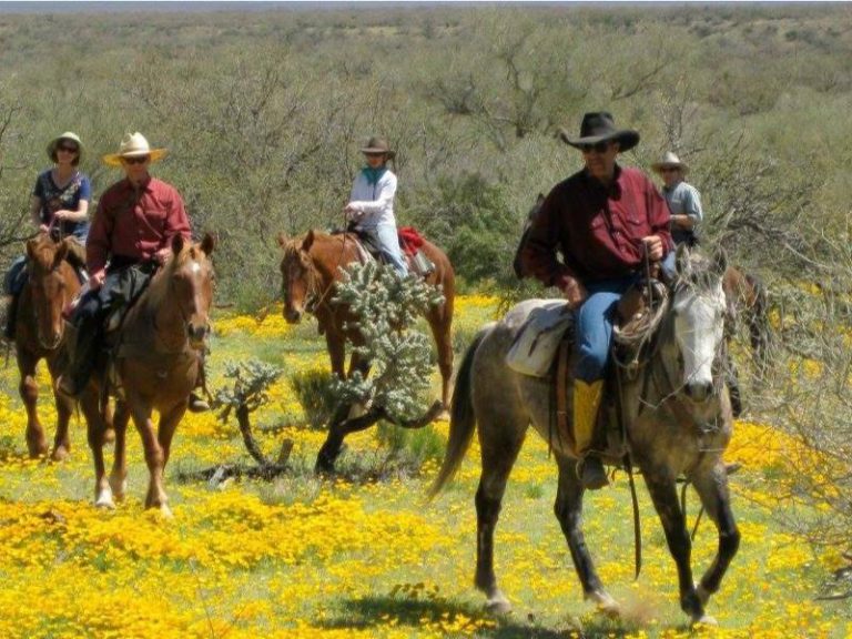 Dude Ranches with Adult Only Weeks | DudeRanch.com