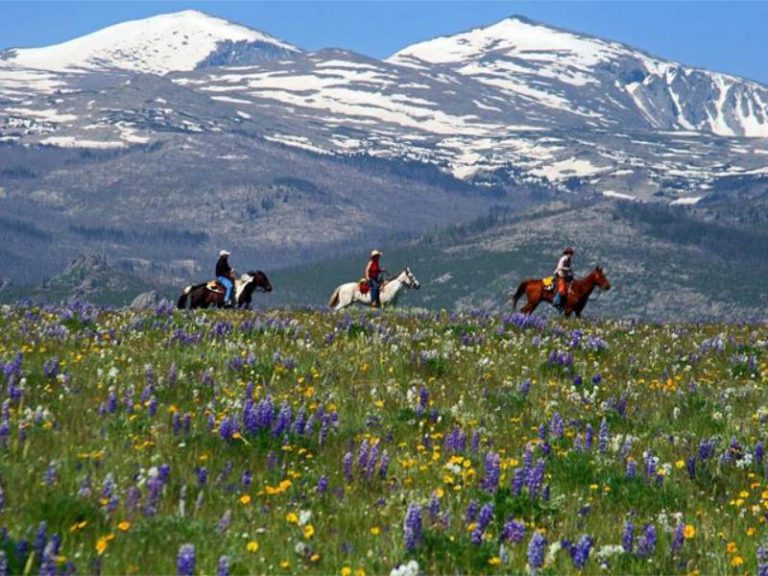 Wyoming Dude Ranch Vacation Destinations | DudeRanch.com