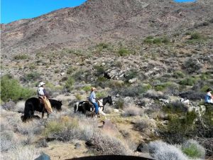 Arizona Dude Ranch Vacation Destinations | DudeRanch.com