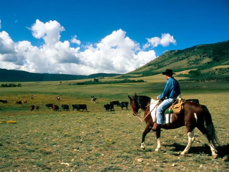 All-inclusive Dude Ranches | DudeRanch.com