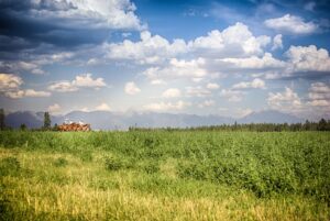 Three Bars Guest & Cattle Ranch | Info, Pics, Maps + More